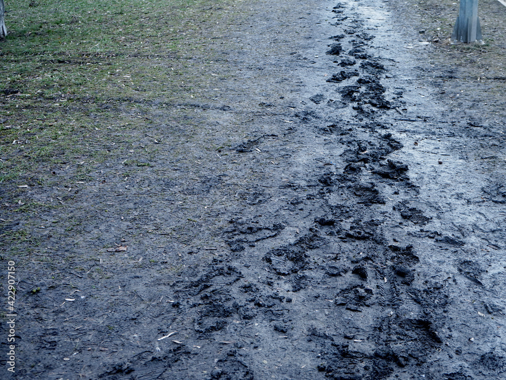 Footprint or imprint shoe in the mud. Numerous different footprints of ...