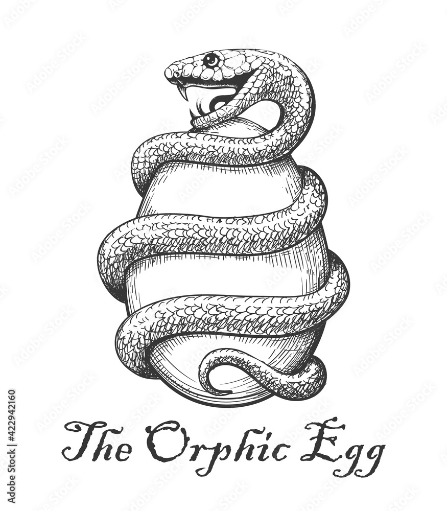 The Orphic Egg Tattoo Stock Vector | Adobe Stock
