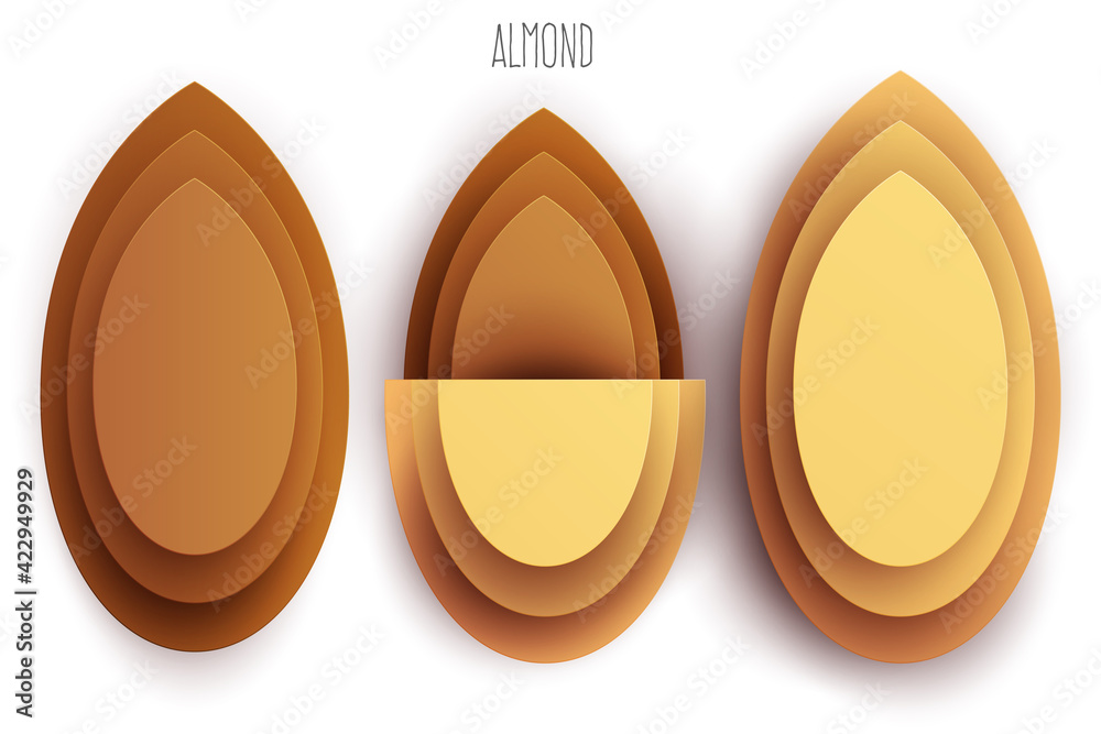 Cartoon whole and half almond in modern geometric 3d paper cut style ...