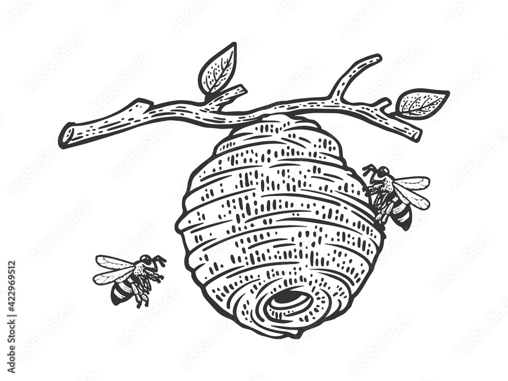 Hive of wild bees on a tree sketch engraving vector illustration. T ...