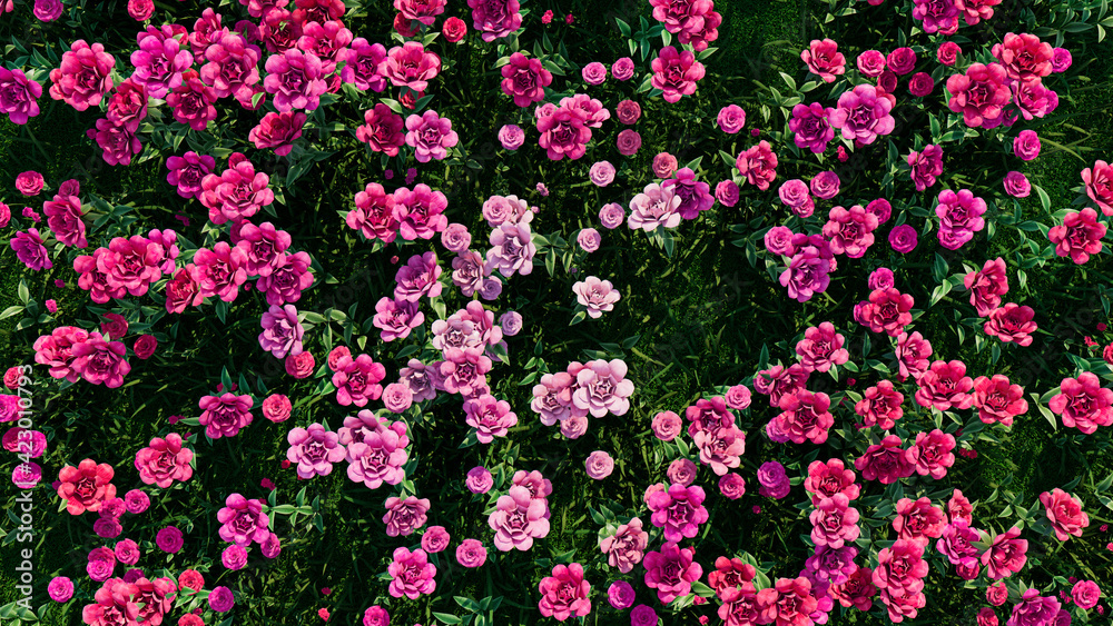 Multicolored Flower Background. Floral Wallpaper with Pink Roses. 3D ...