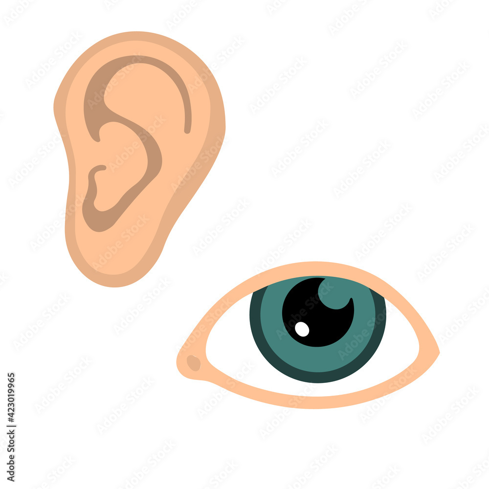 Vector flat ear and eye illustrations isolated on white Stock Vector ...
