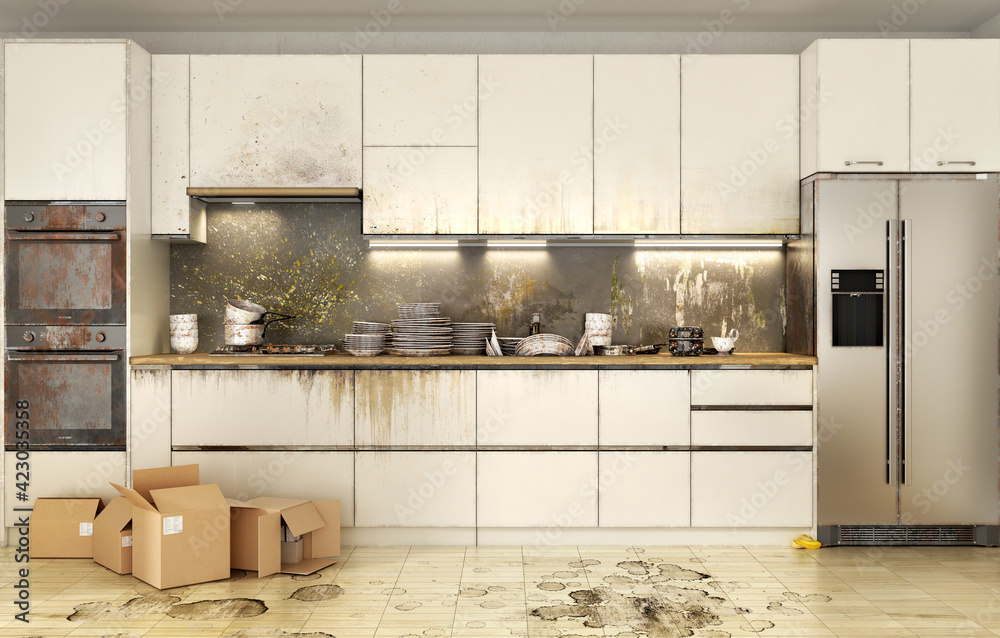 Dirty Kitchen Design