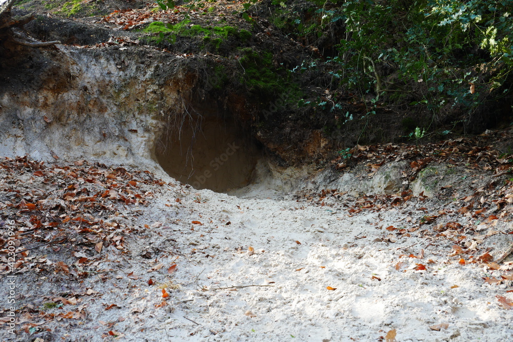 entrance to a sand cave under a forest Stock Photo | Adobe Stock