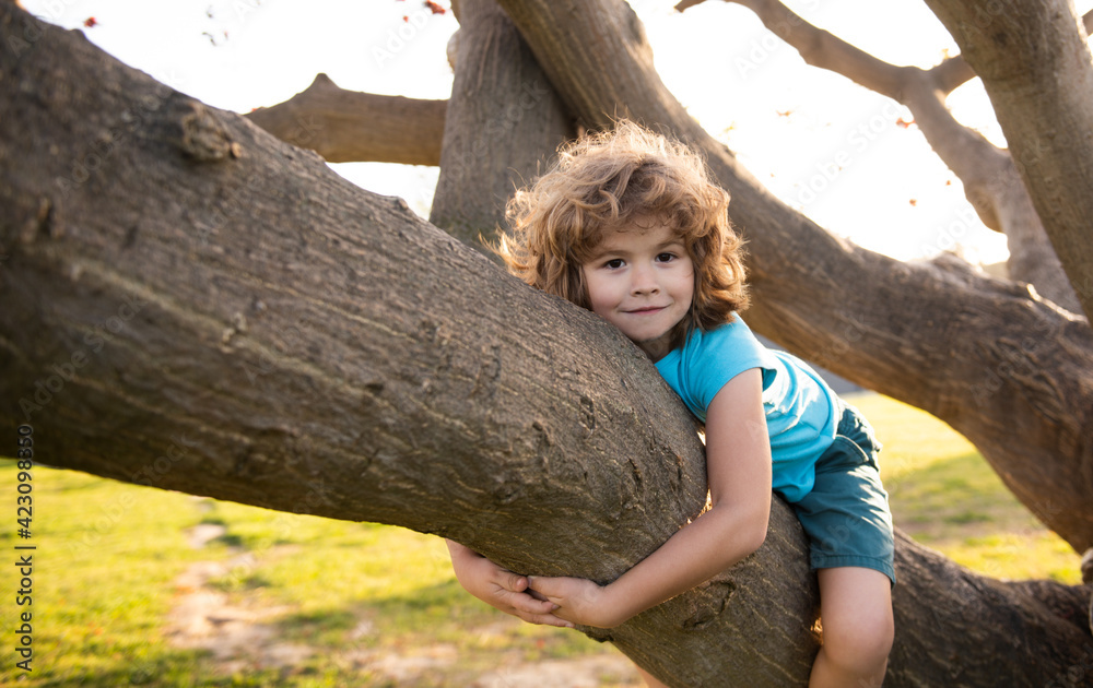 Child climbing a tree. Cute caucasian kid boy happily lying in a tree ...