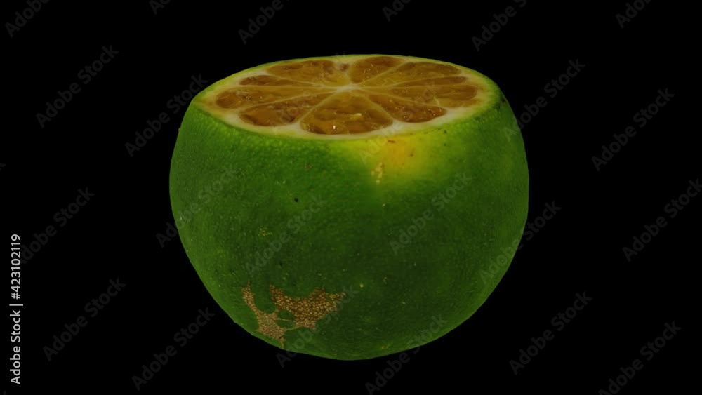 Realistic render of a spinning cut Dalandan Orange on black background ...