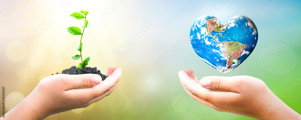 Earth Day concept: hand holding plant and earth on blur green nature ...