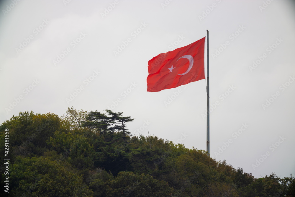 Turkish flag, on a red background white star and moon. Turkish flag ...