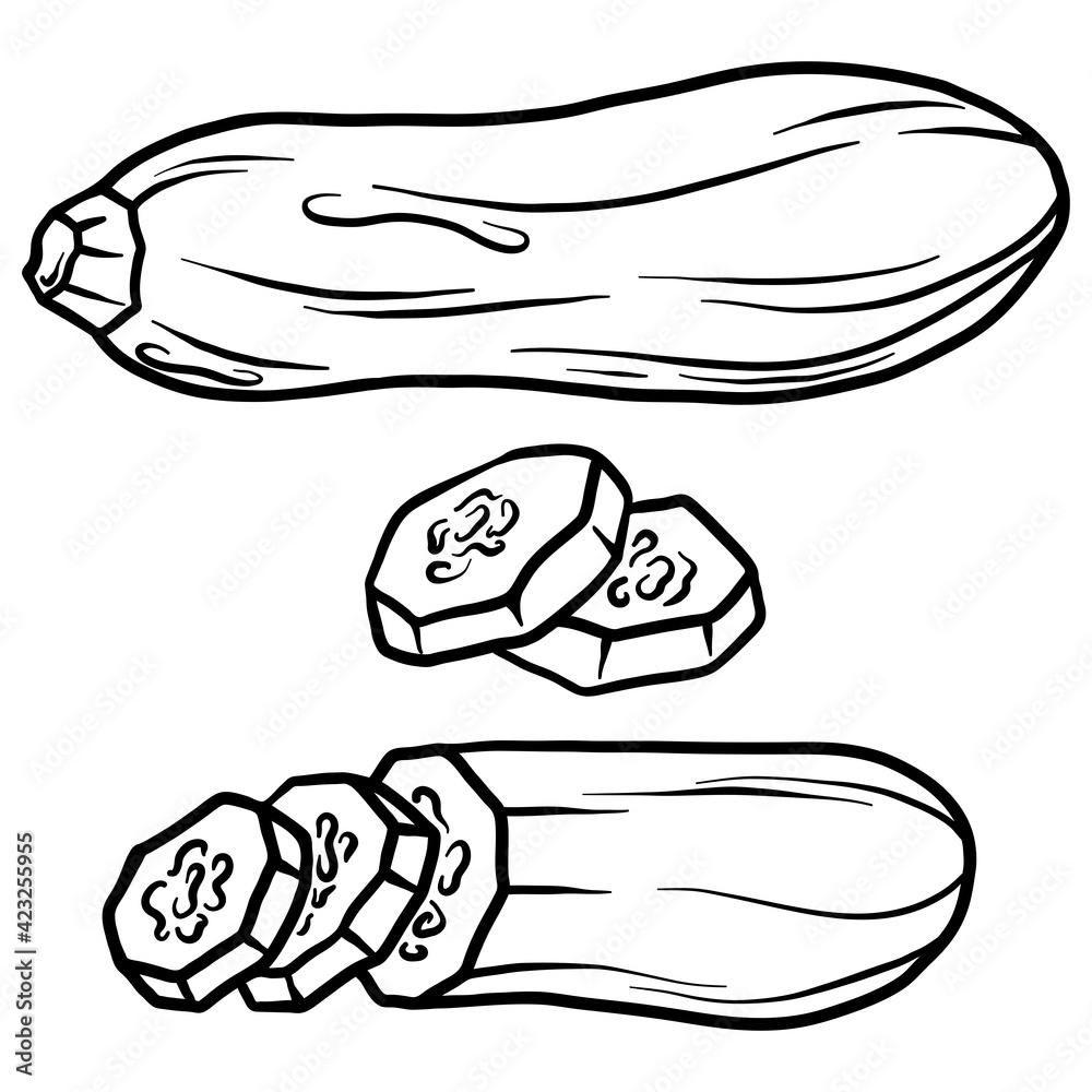 Zucchini isolated on white background. Full Zucchini and slice. Vector ...