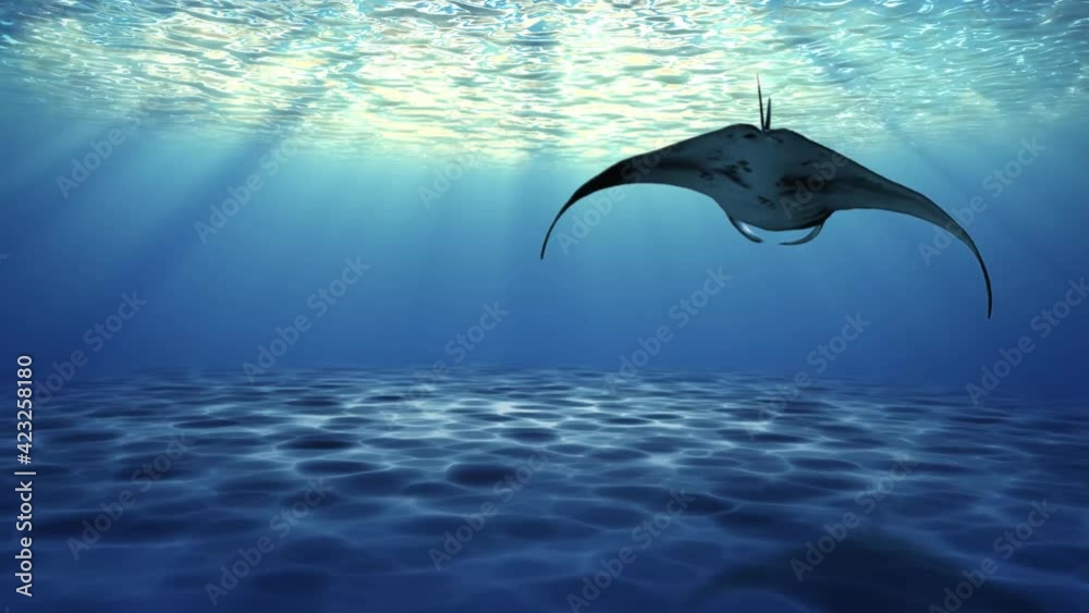 3D animated manta ray swimming quickly through the ocean Stock-Video ...