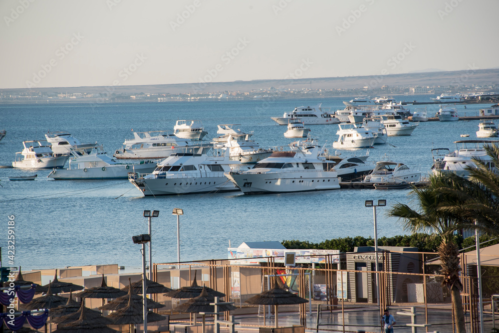 Yachts and ships on the Red Sea-Egypt 249 Stock Photo | Adobe Stock