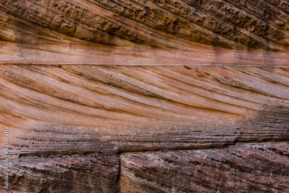 Details of sediment layers in the sandstone cliffs in Zion National ...