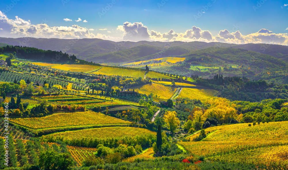 Panzano in Chianti vineyard and panorama. Tuscany, Italy Stock Photo ...