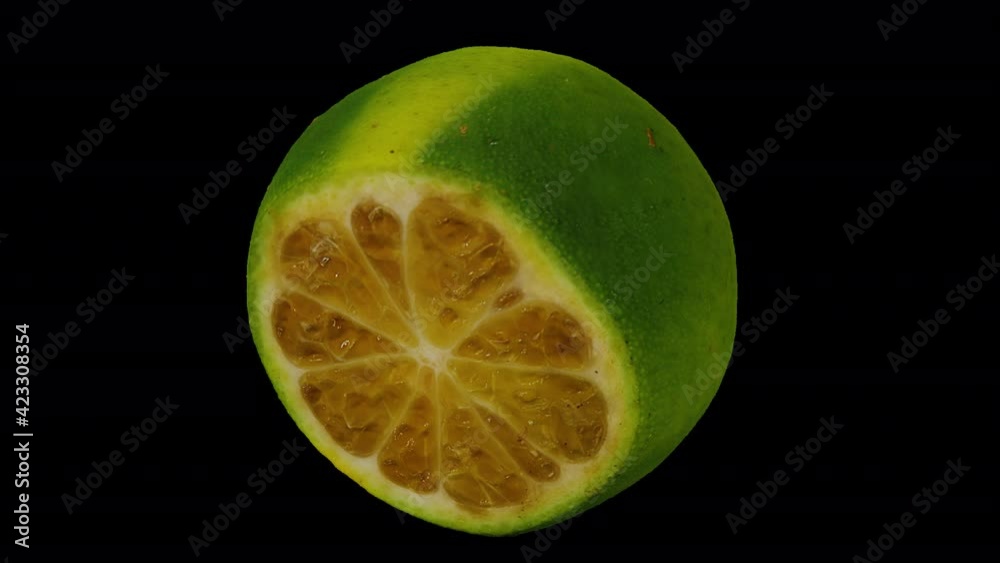 Realistic render of a rotating cut Dalandan Orange on transparent ...