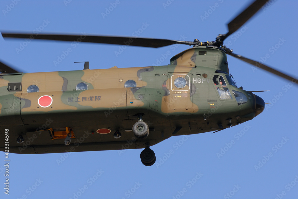 Chiba, Japan - January 10, 2010:Japan Ground Self Defense Force Boeing ...