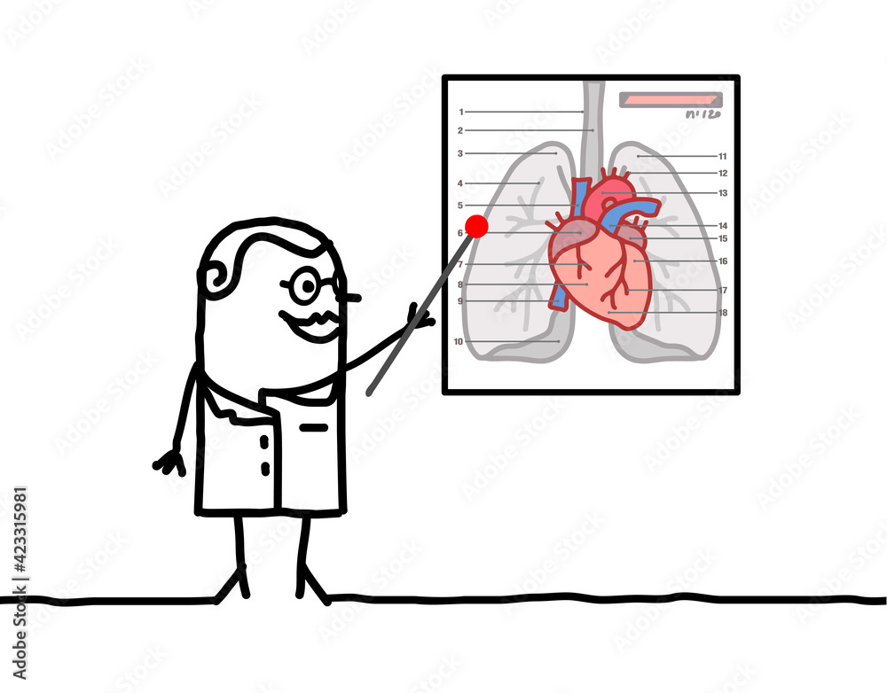 Cartoon Doctor explaining the Cardiac System Stock Vector | Adobe Stock