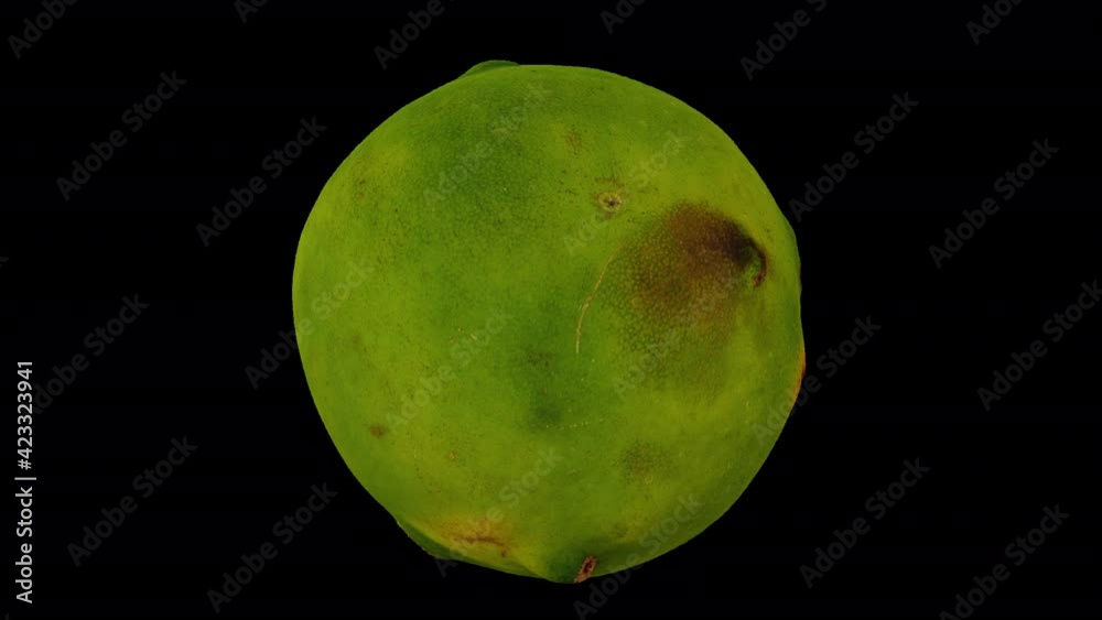 Vidéo Stock Realistic render of a rolling cut Native Philippine Orange ...