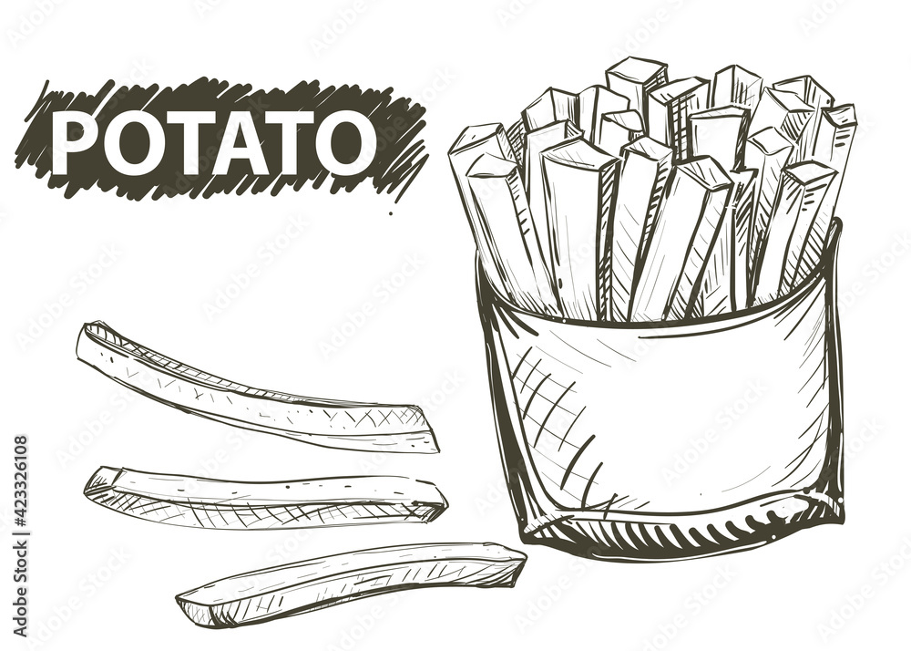 Detailed hand drawn black and white illustration set of potato, fries ...