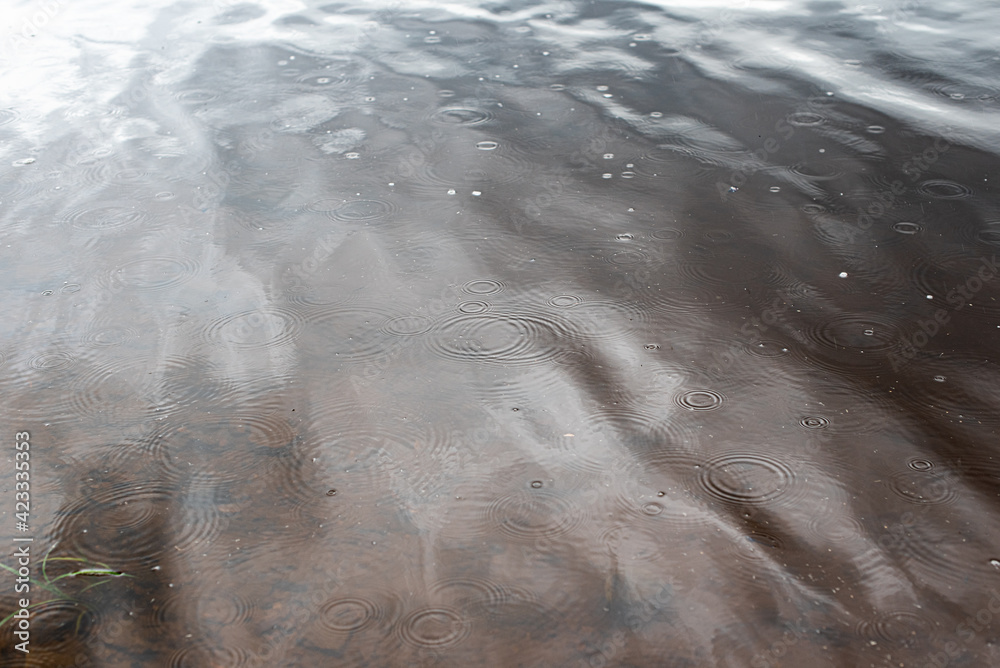 Texture of a smooth surface of water with circles from falling drops of ...