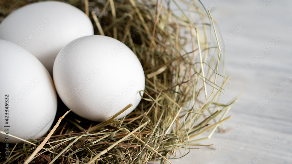 Closeup raw white brown organic fresh eggs shell with yolk from happy ...