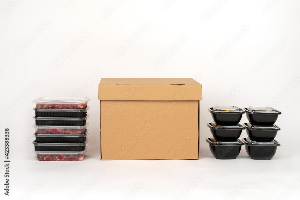 Meat containers for dogs. Dog food delivery concept and natural healthy ...