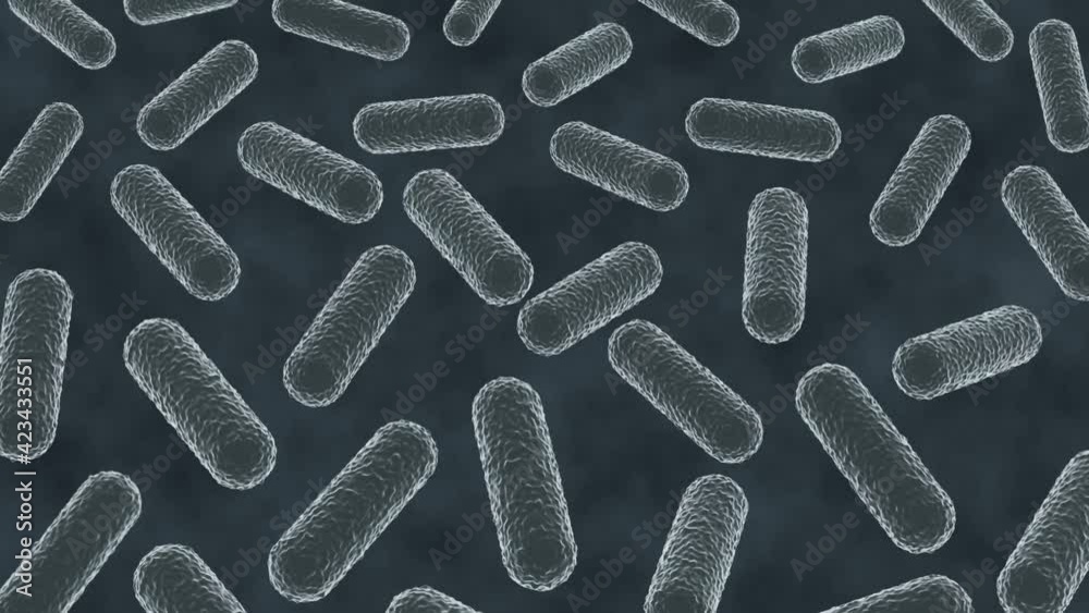 Bacteria under electron microscope, medically accurate animation, (gram ...