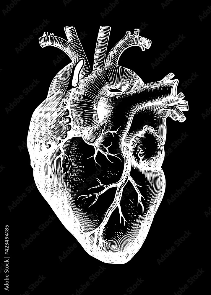 POSTER WITH GRAPHIC HUMAN HEART Stock Illustration | Adobe Stock
