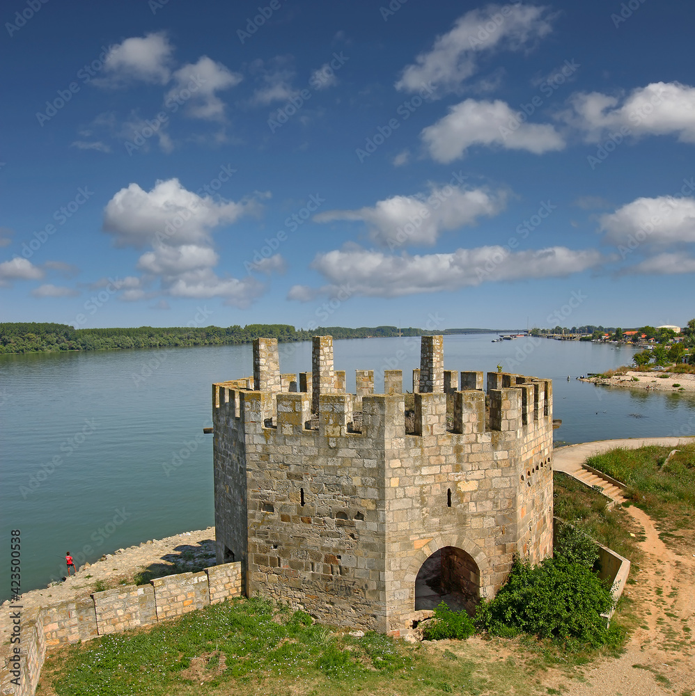 Fortress Smederevo. The fortress in the city Smederevo on Danube was ...