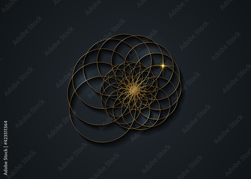 Sacred Geometry Spiral Fibonacci