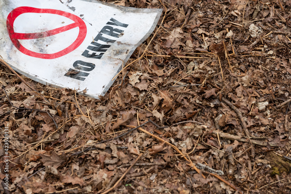 Discarded, makeshift No Entry sign seen on a blanket of dried leaves ...