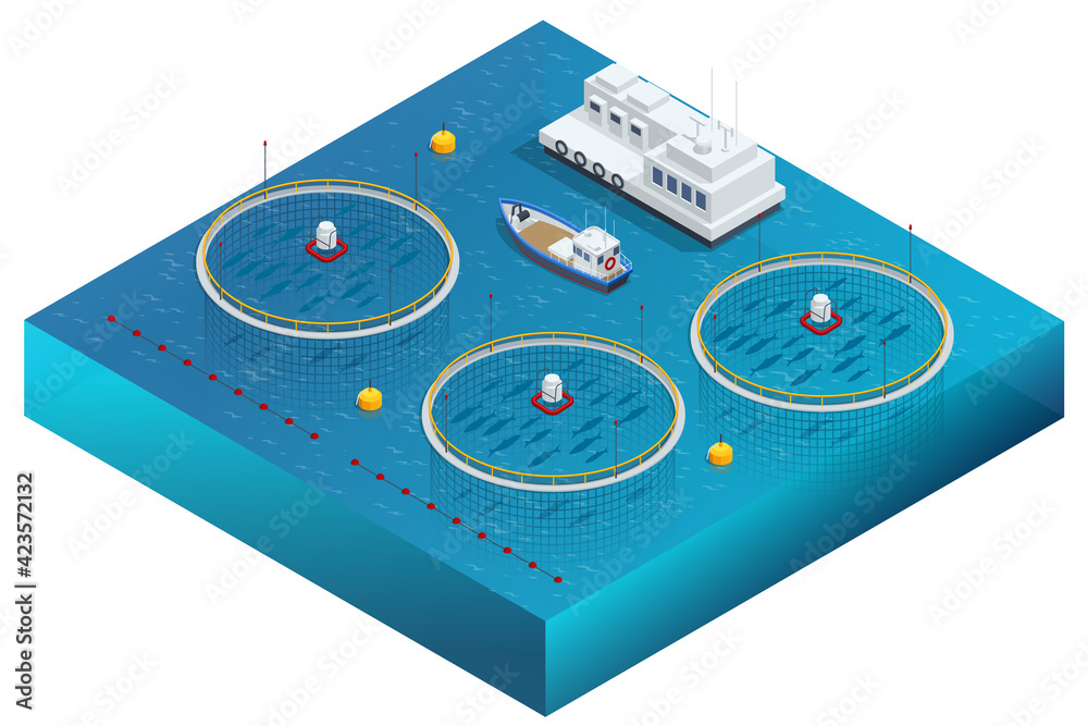 Isometric Fish Farm. Producing Trout and Salmon, Carp, Tilapia, and ...