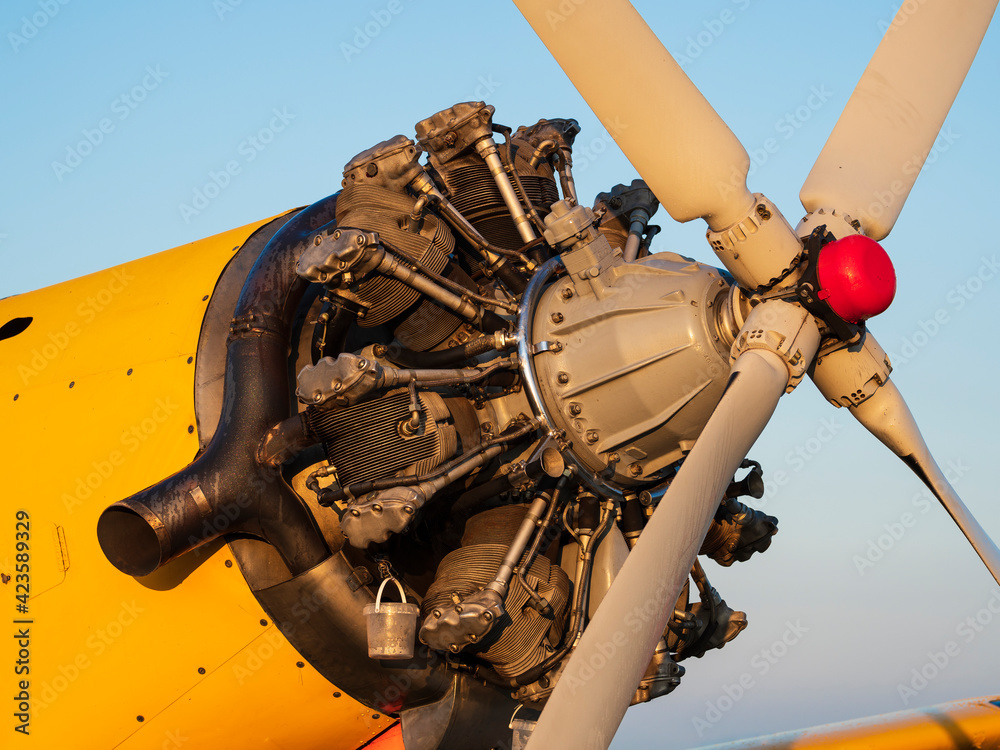 Single-row radial engine on the front of an aircraft Stock Photo ...