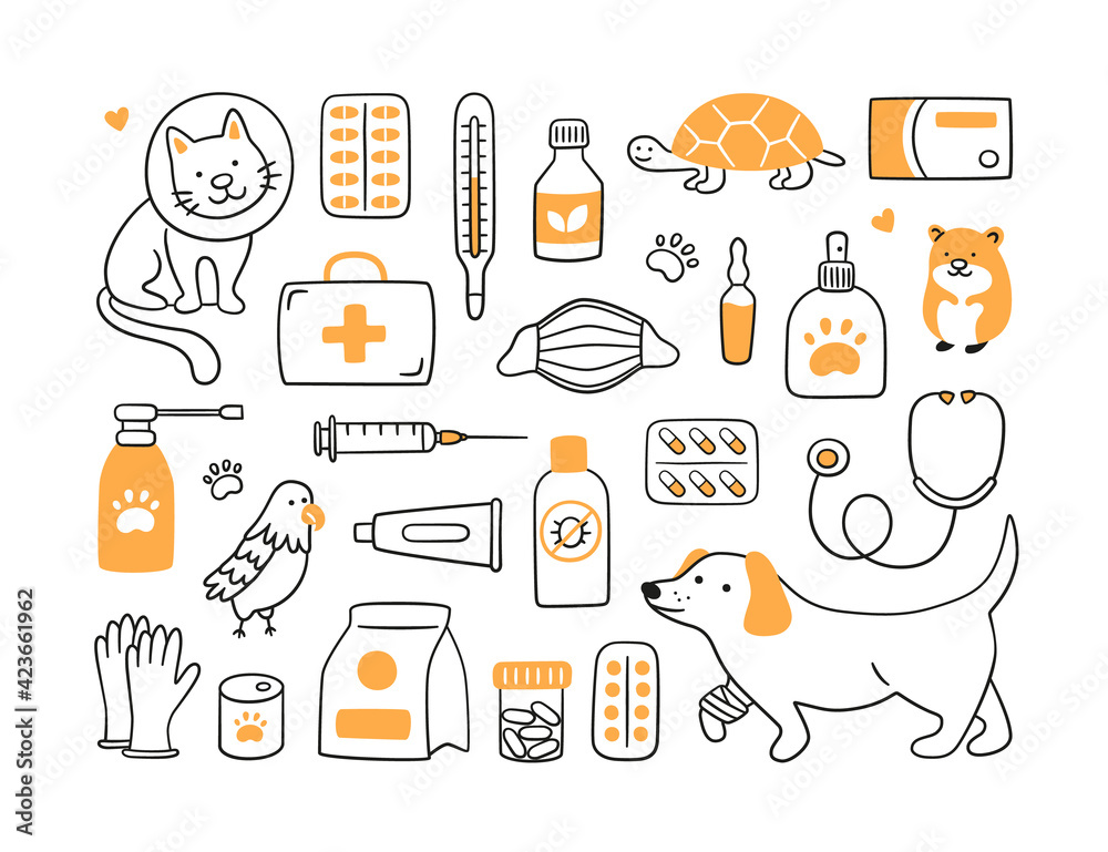 Veterinary set with pets, medicines and food. A cat in a collar and a ...