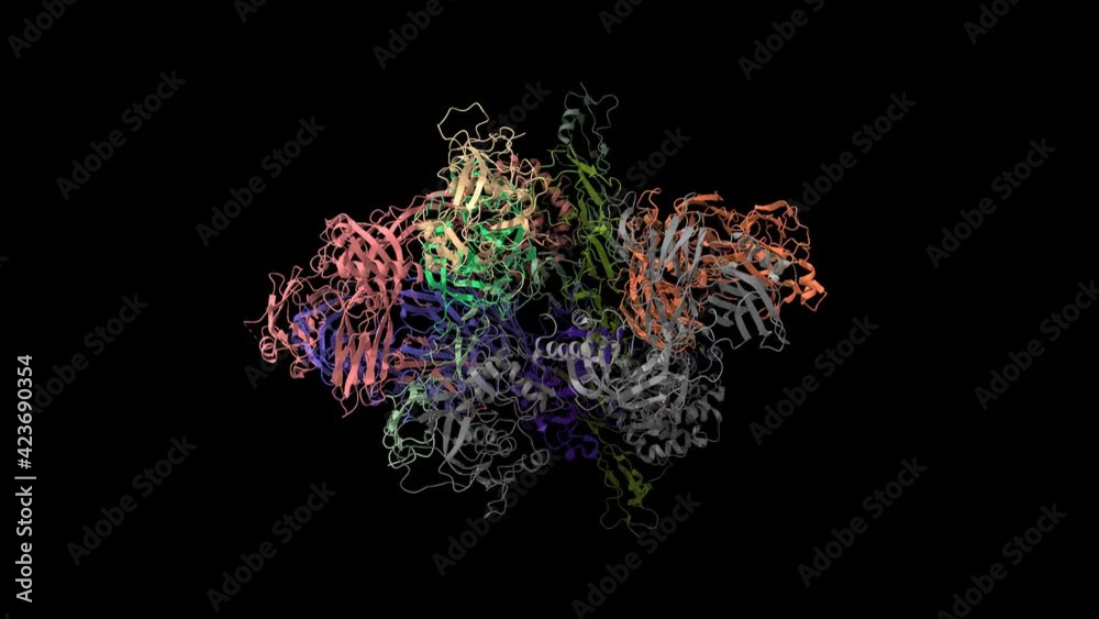 Structure Of Complement Complex Animated 3d Cartoon And Gaussian Surface Models With