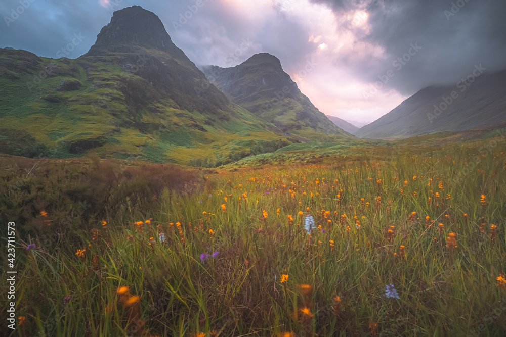 Moody, atmospheric mountain landscape of the lush, green Three Sisters ...