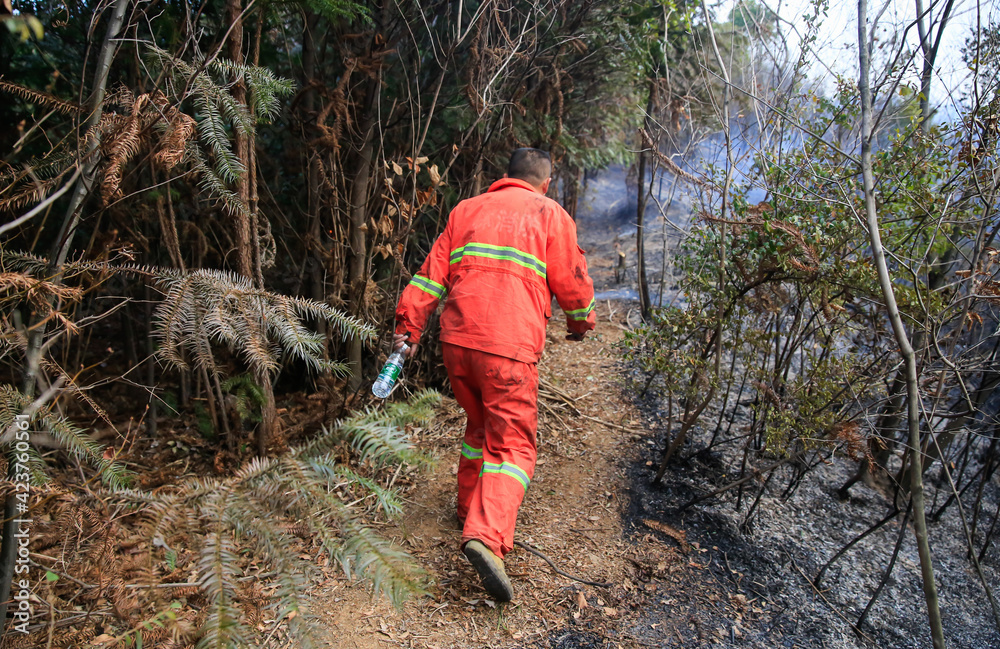 Forest fires filled the sky with smoke. Caused by human sacrificial ...