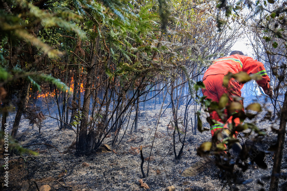 Forest fires filled the sky with smoke. Caused by human sacrificial ...