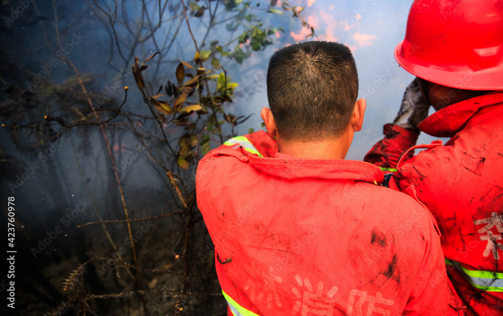 Forest fires filled the sky with smoke. Caused by human sacrificial ...