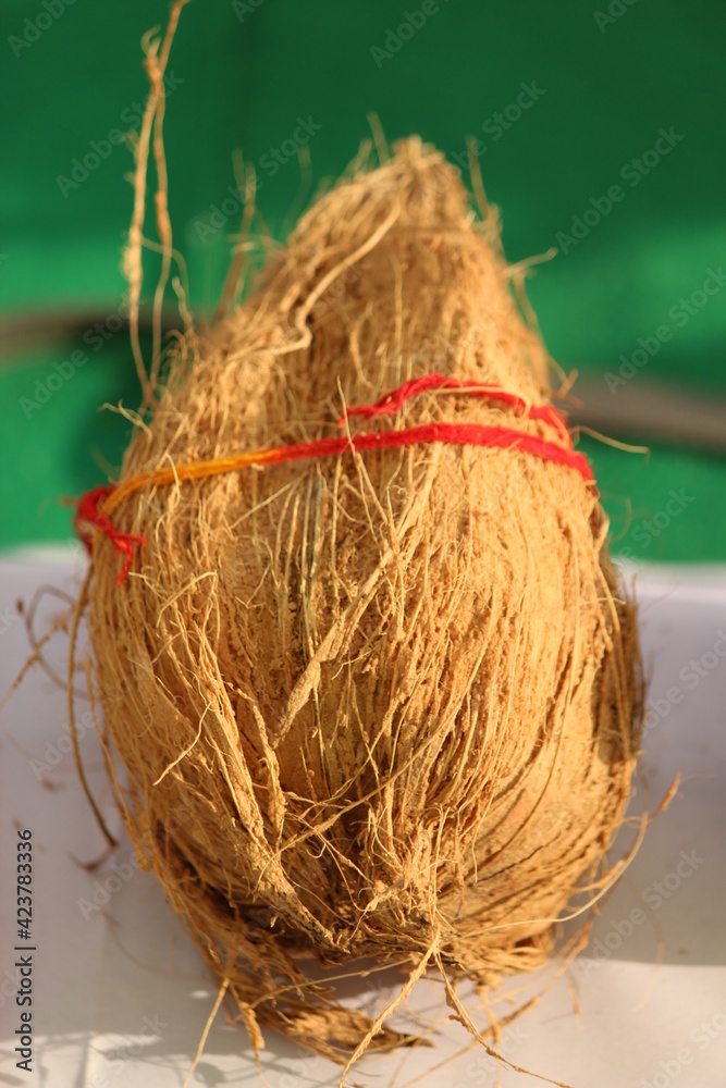 coconut with red tie offered to Goddess Durga during Prayers. Stock ...