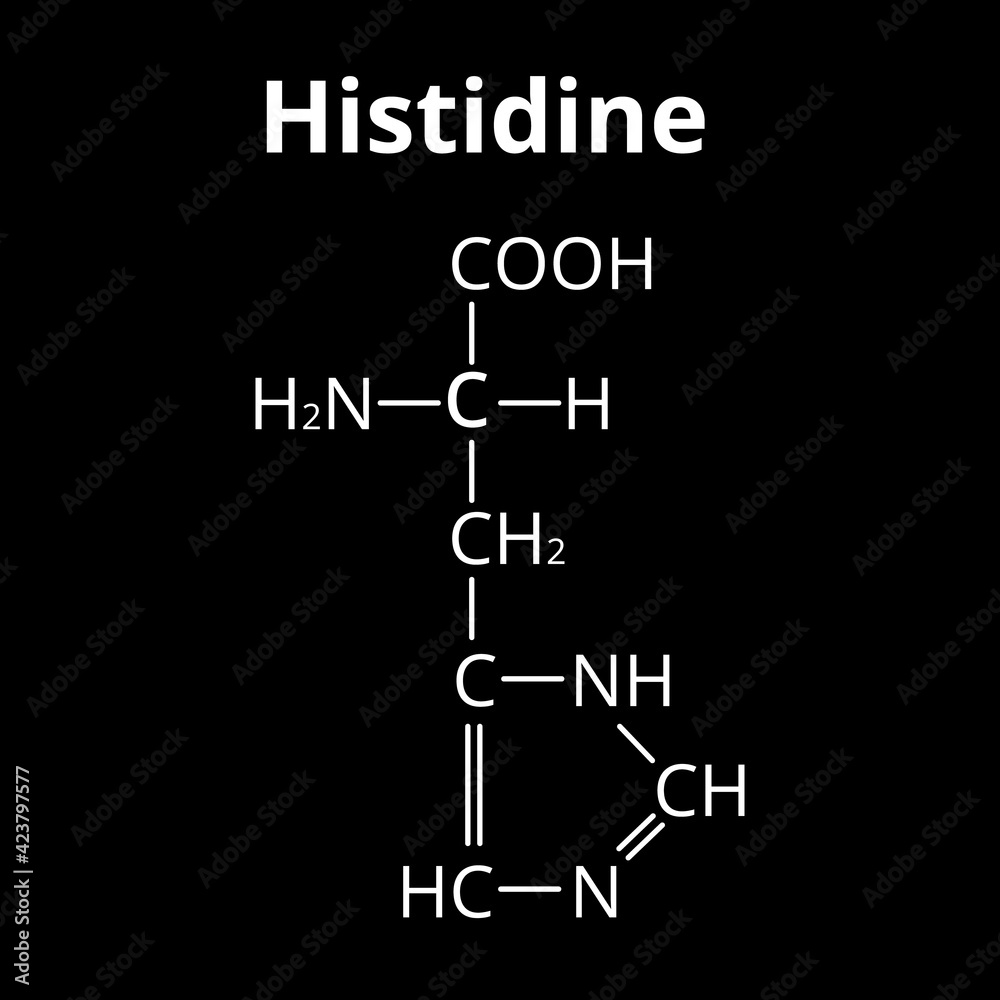 Amino acid Histidine. Chemical molecular formula Histidine amino acid ...