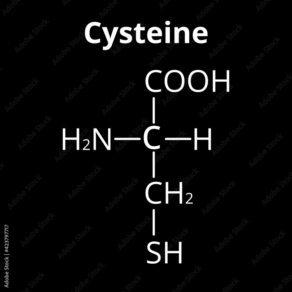 The amino acid Cysteine. Chemical molecular formula Cysteine amino acid ...