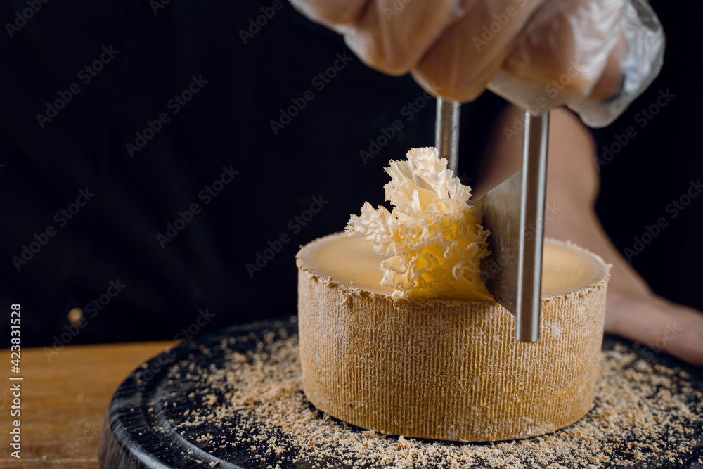 Shaving tete de moine cheese using girolle knife. Variety of Swiss semi ...