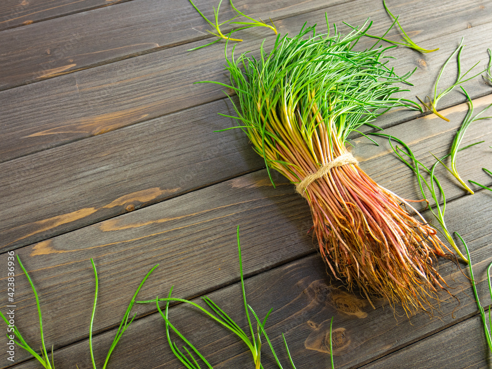 Bunch of fresh salsola soda, also called agretti, barba di frate ...