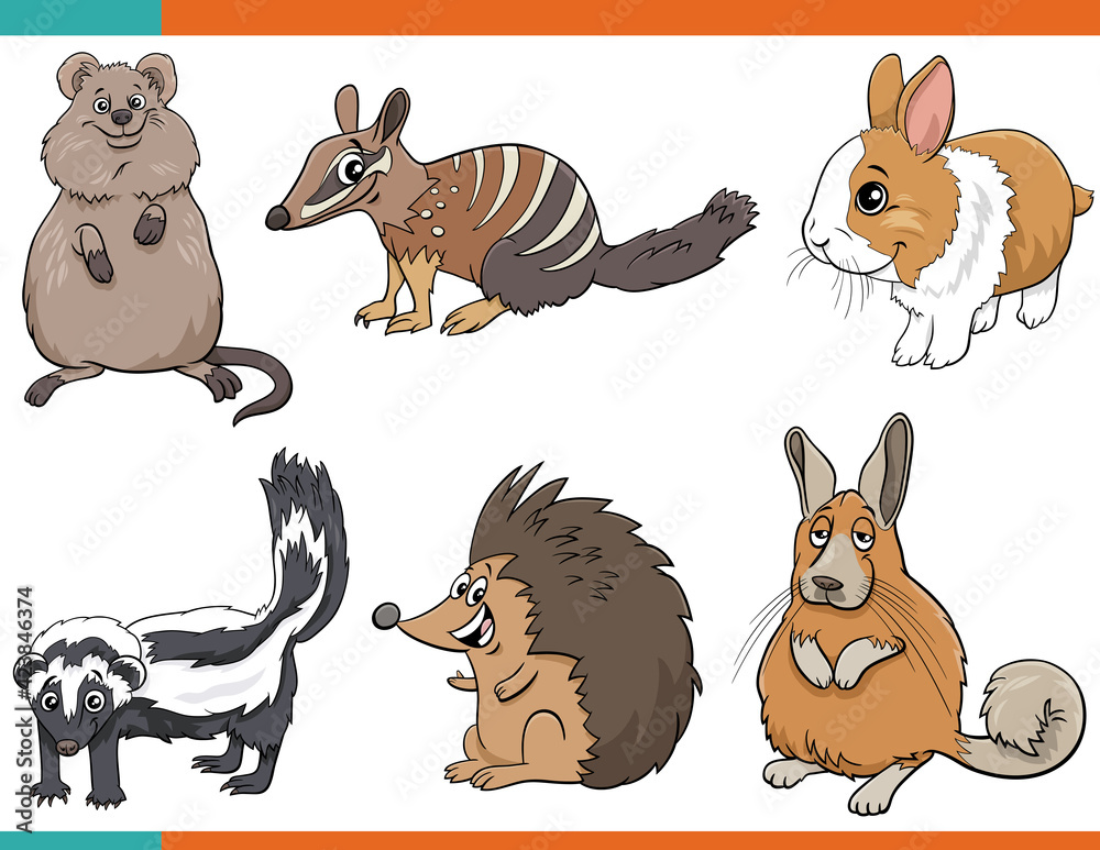 cartoon funny animal comic characters set Stock Vector | Adobe Stock