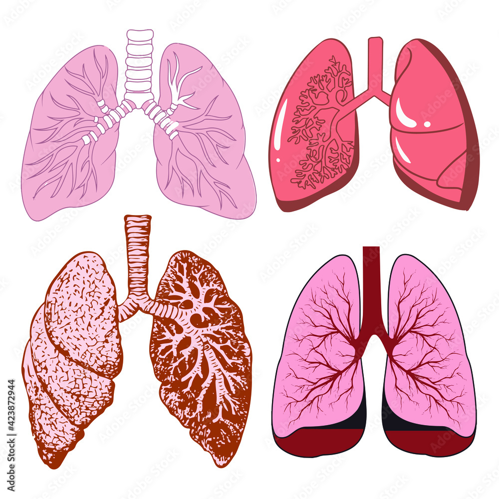 Vettoriale Stock pulmones humanos, diferentes pulmones, formas de ...