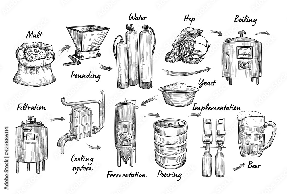 Brewing process vector illustration set. Beer production, distillery ...
