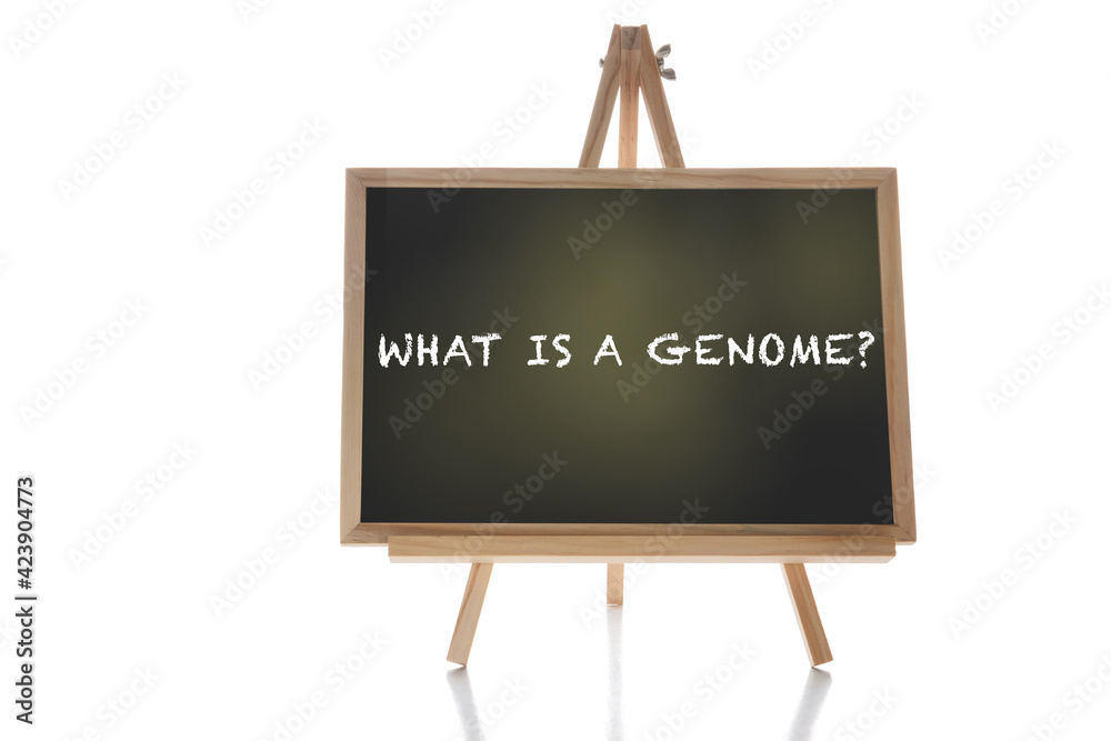 What is a genome question mark on chalkboard isolated on white ...