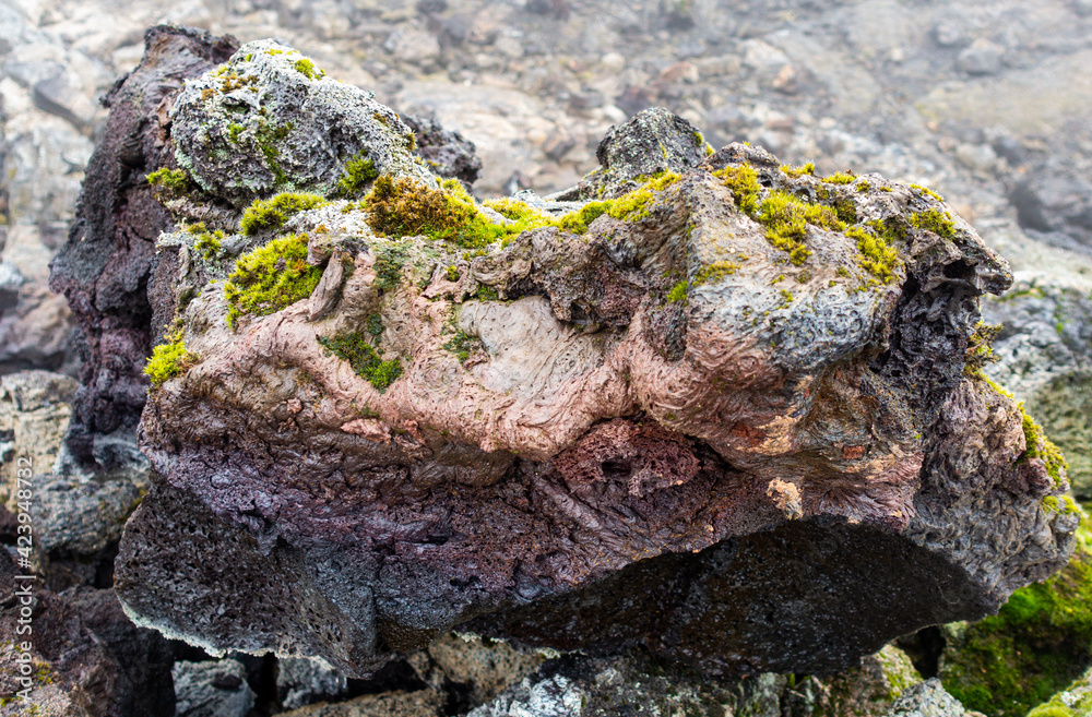 Volcanic rocks - cold lava at Leirhnjukur (Lake Myvatn - Krafla ...