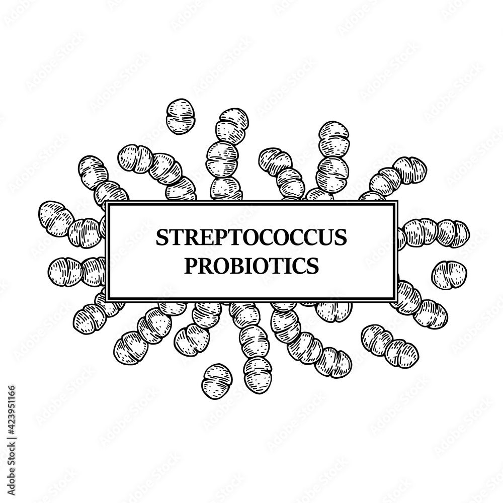 Hand drawn probiotic streptococcus bacteria frame. Design for packaging ...