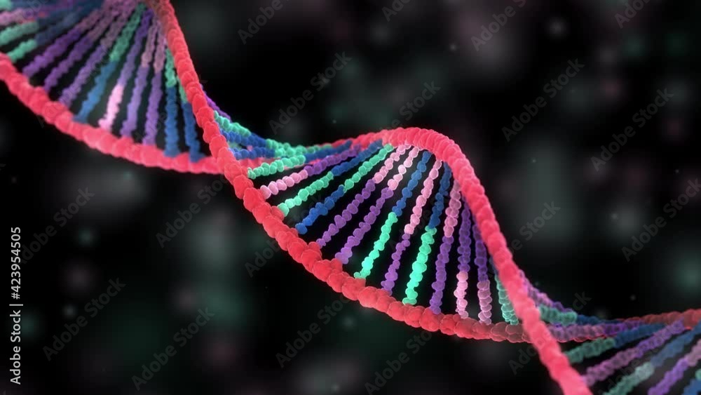 DNA molecule, abstract DNA helix animation, loop, spinning, in neon ...